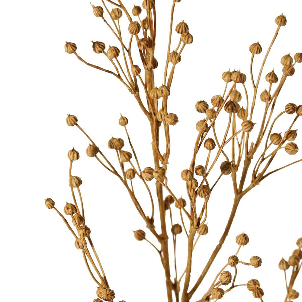 RAMA LINAZA CAFÉ 66CM – Theodora cl