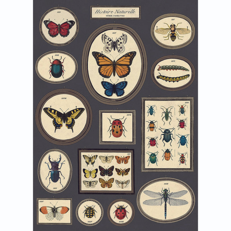 LÁMINA IMPRESA BUTTERFLIES & INSECTS – Theodora cl